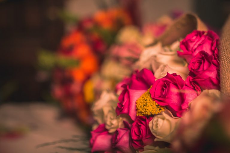 Inicio - Everbloom Roses